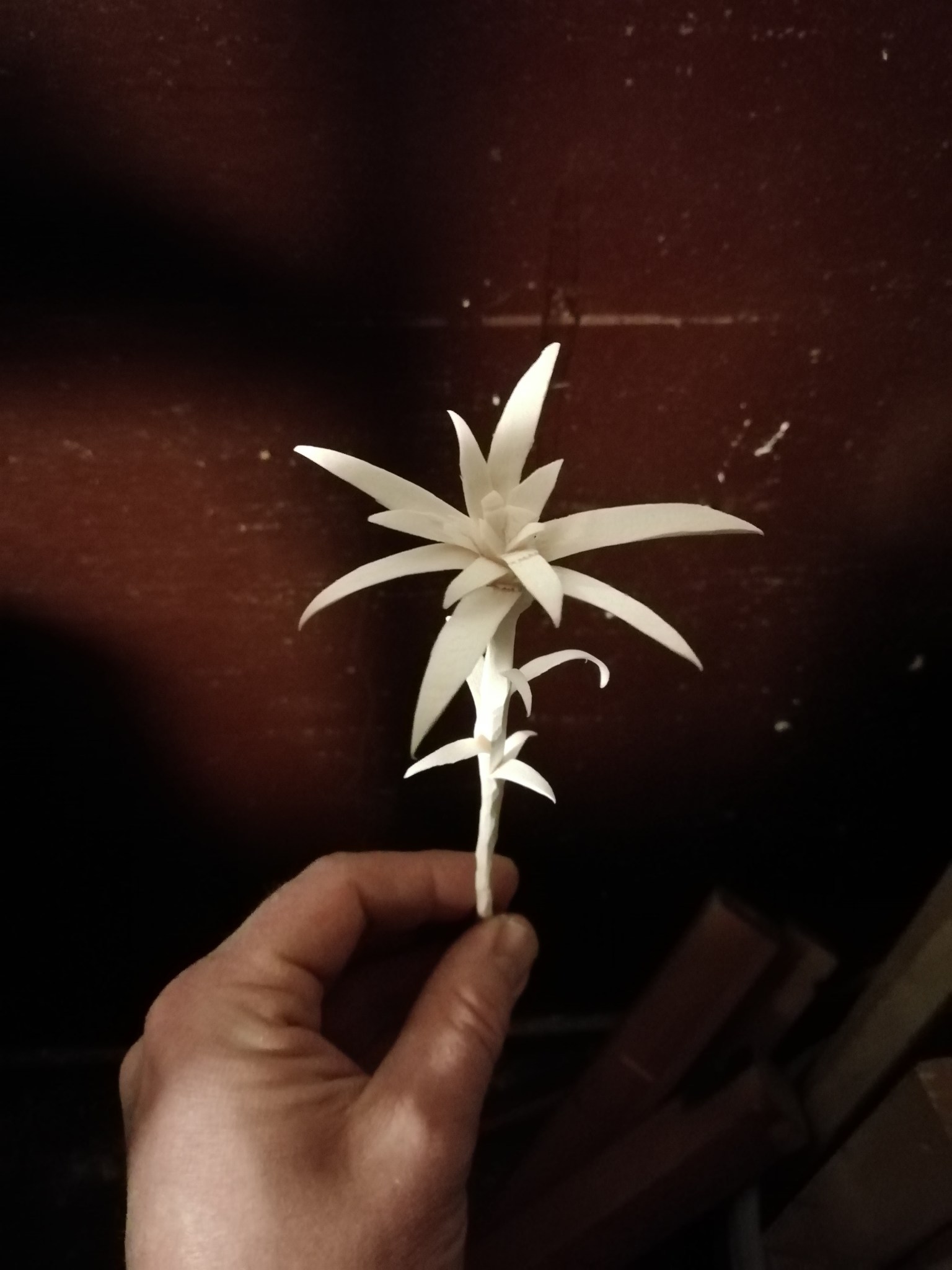 Carving An Edelweiss Flower – Underhatchet