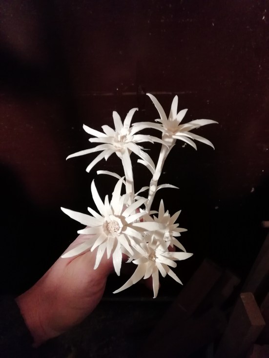 Carving An Edelweiss Flower – Underhatchet